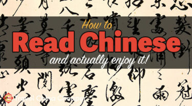 Learn to Read Chinese & Enjoy It? (2025 Chairman's Bao Review)