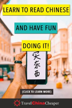 Learn to Read Chinese and Make it FUN! (The Chairman's Bao Review)